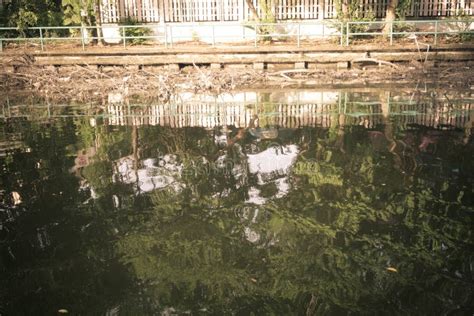 River Pollution And Dirty Stock Photo Image Of Drain