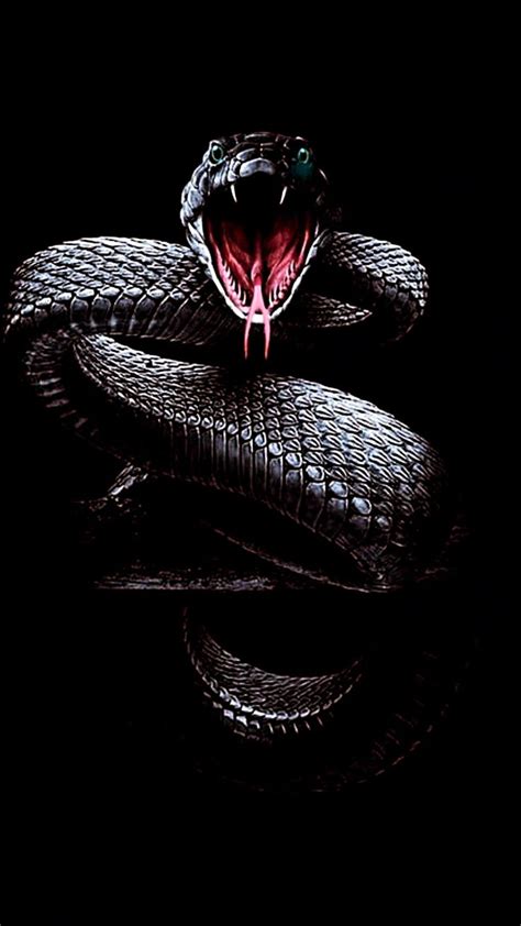 Galerİ 🌐🔶🔸🌐 Gallery Фоновое изображение для экрана телефона Черная мамба Фоновые рисунки