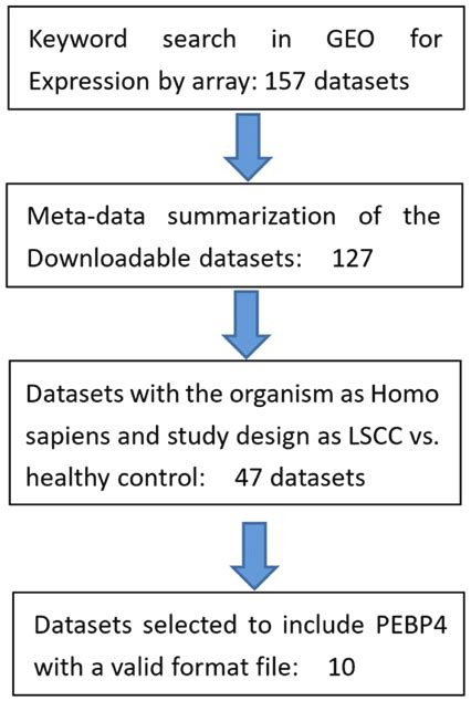 Workflow For Expression Data Selection For Meta Analysis Geo Gene