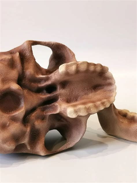Homo Habilis Skull Replica Prehistoric Fossil Collection Realistic