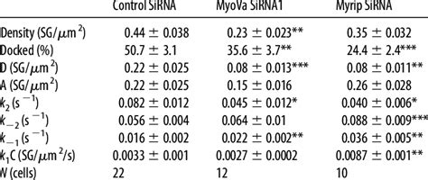 The Dynamics Of Sgs Quantified According To The Model Depicted In Figure 10 Download
