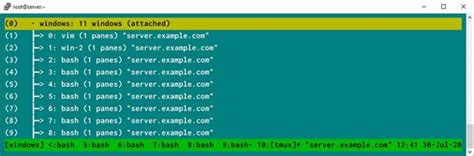Complete Tutorial On Tmux Commands With Examples From Scratch GoLinuxCloud