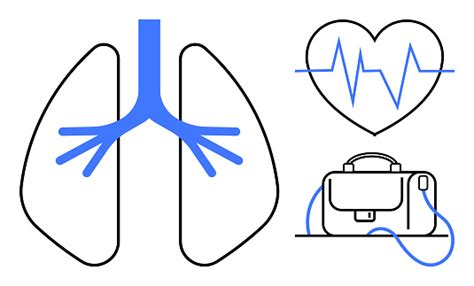 폐 Ecg 라인이 있는 심장 헬스케어를 상징하는 의료 가방을 포함한 의료 요소 가격에 대한 스톡 벡터 아트 및 기타 이미지