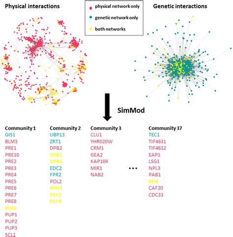 Procedure Outline Community Structure Detection In Multiple Networks Download Scientific