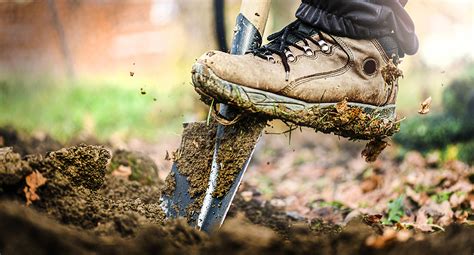Shelterbelt Planting The Best Guide For Amazing Windbreaks
