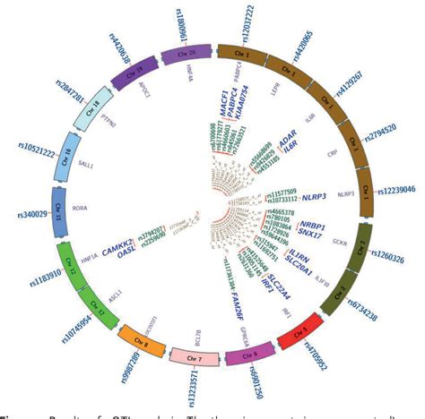 Interferon Gamma Mediated Signaling Pathway Semantic Scholar