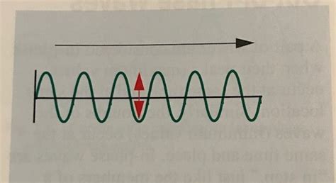 Chapter 2 Sound Flashcards Quizlet Chapter 2 Sound Flashcards Quizlet