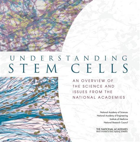 Solution Understanding Stem Cells Studypool