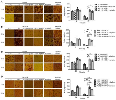 Synergistic Antitumor Effect Of The Combination Of A Dual Cancer
