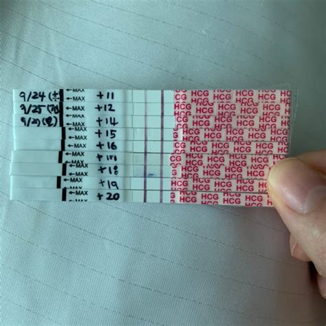 임신초기 원포 얼리 임테기 진하기 화유 임테기 비교 페마라정 복용 배란 11일차 네이버 블로그