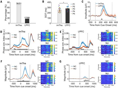How Does The Brain Control Perception Of Everything Around Us