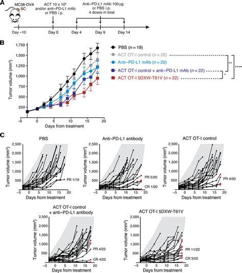 Act Of Anti Pd L1 Nanobody Secreting T Cells Improves Tumor Control In