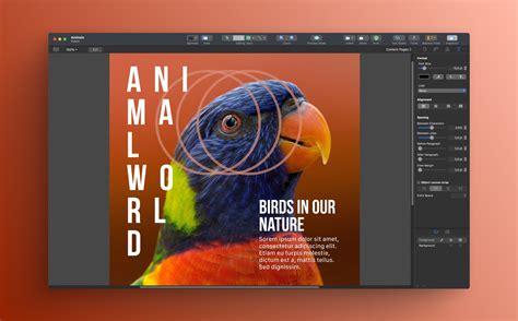 beste Desktop Publishing Software für den Mac im Jahr 2025 Swift