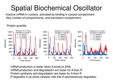 Ppt Spatial Stochastic Simulators Powerpoint Presentation Free