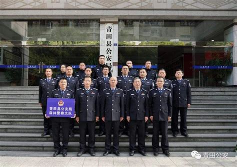 青田县现任公安局长 图库 五毛网