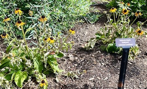 Extreme Weather Gardening | Okanagan Xeriscape Association
