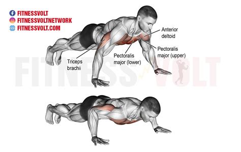 Push Up Chest Fitness Volt