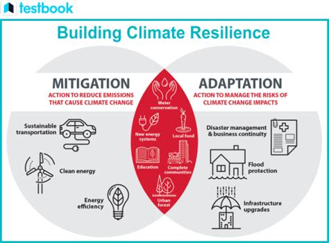Mitigation In Environment Strategies To Reduce Climate Impact