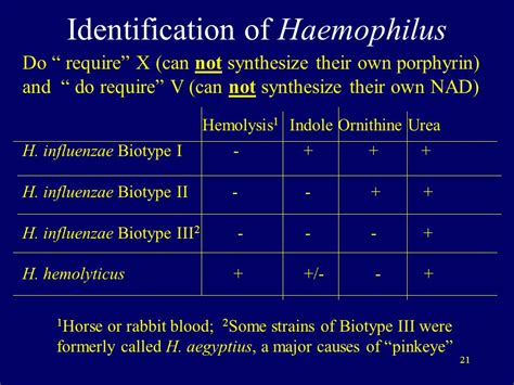 Haemophilus Parainfluenzae Antibiotic Susceptibility