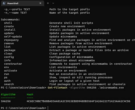 Micromambaexe Help Has No Output · Issue 2153 · Mamba Orgmamba