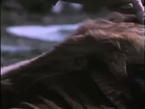 Retro Celeb Comp Vintage 1989 Oniric Not Explicit Oral Sex Scenes Elena Sofia Ricci Romina Lari