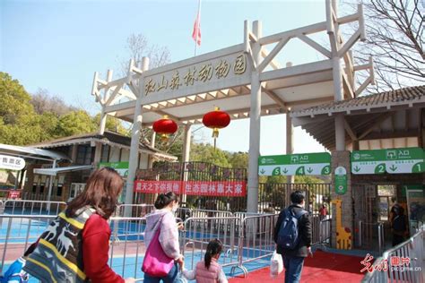 江苏南京红山动物园恢复开园 腾讯新闻
