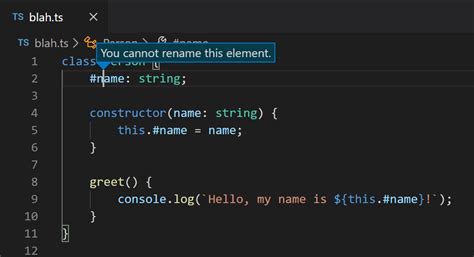 Can T Rename TS Private Fields Issue Microsoft Vscode