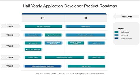 Half Yearly Application Developer Product Roadmap Infographics