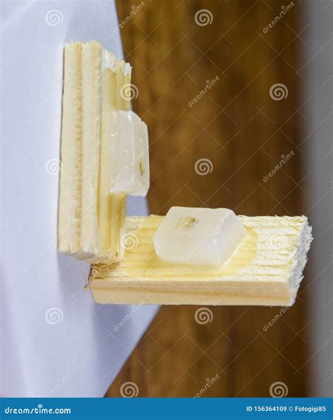 Paraffin Blocks With Cancer Samples Samples For Histological
