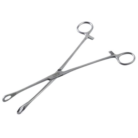 Ss16 1494 Foerster Sponge Holding Forceps 24cm Box Of 10 Surgical