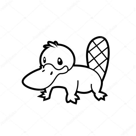 Dibujo De Ornitorrinco Para Colorear Dibujos Para Col Vrogue Co