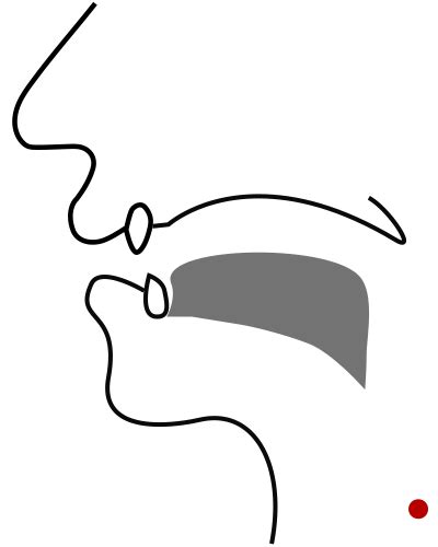 /ŋ/ (NG) Pronunciation Lesson - Pronunciation Studio