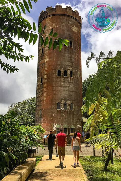 Visiting Puerto Ricos Tropical Rain Forest El Yunque
