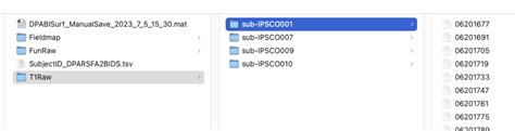Error In DPABISurf When Running FMRIPrep The R FMRI Network