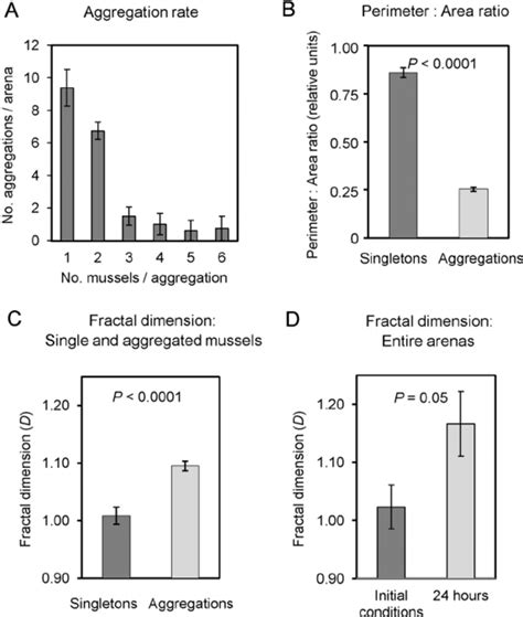 Laboratory Aggregation Experiment Results A Aggregation Rate As