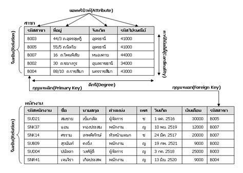 Untitled Document Nongzy