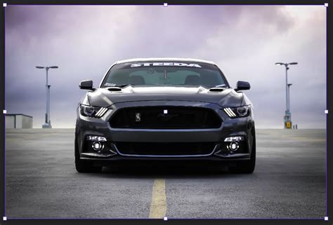 How To Resize An Image In Photopea Edits How To Resize An Image In Photopea Edits