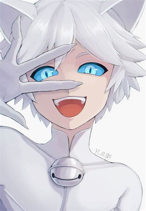 Miraculous Ladybug And Cat Noir Anime Characters