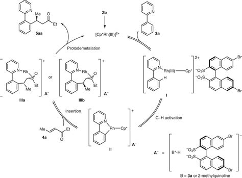 Proposed Catalytic Cycle The Catalytic Cycle Involves Ch Activation