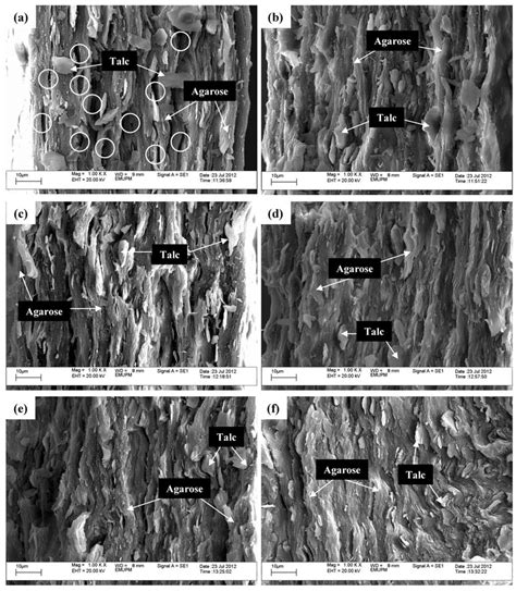Scanning Electron Microscope Sem Micrographs Of The Fractured Surface Download Scientific