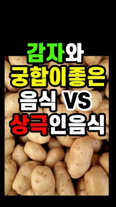 감자와 궁합좋은 음식 상극음식 건강 이슈 다이어트 꿀팁 건강꿀팁 음식 정보 감자 감자전 Youtube
