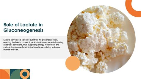 Gluconeogenesis From Pyruvate Ppt Graphics Acp Ppt Example
