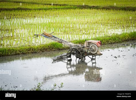 Tractor Plowing Rice Paddy High Resolution Stock Photography And Images