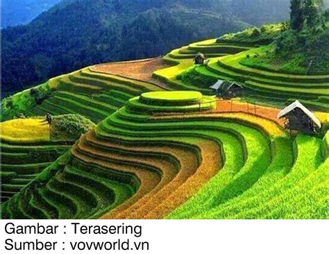 20+ Terasering Pada Lahan Miring Dibuat Dengan Tujuan JPG - Terasku
