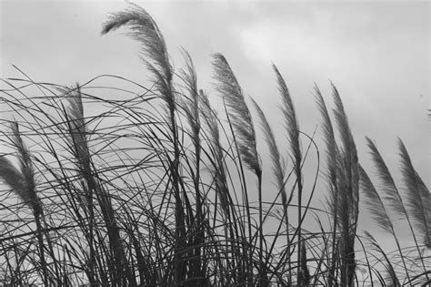 Elevation Of Georgetown Sc Usa Topographic Map Altitude Map