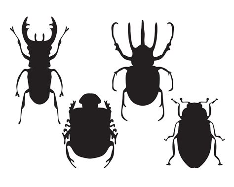 Bug Svg Bugs Svg Beetles Svg Bug Dxf Beetle Dxf Bug Template Beetle Template Bug Cutout