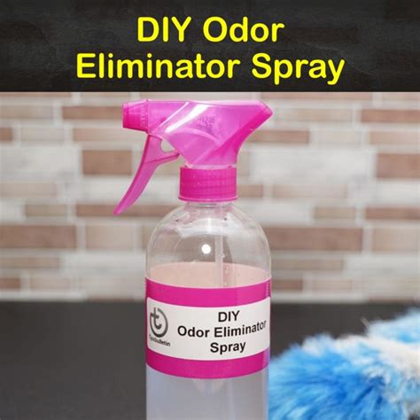 10 Creative Diy Odor Eliminator Remedies And Recipes