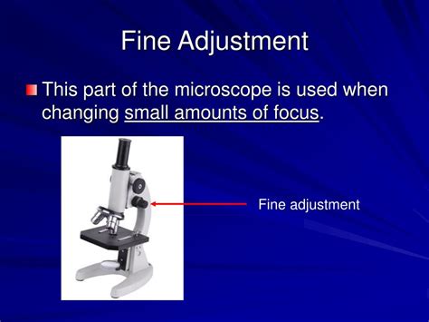 Fine Adjustment Microscope At Ruby Vannatter Blog