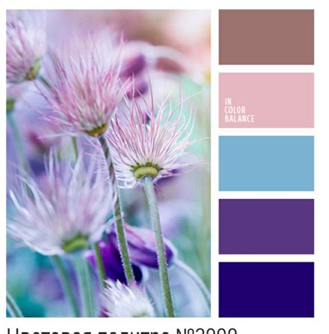Pin By Tazetdinovaz On сочетание цветов Violet Color Palette