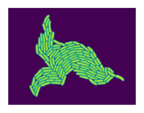 The Basics In 2d Omnipose Documentation